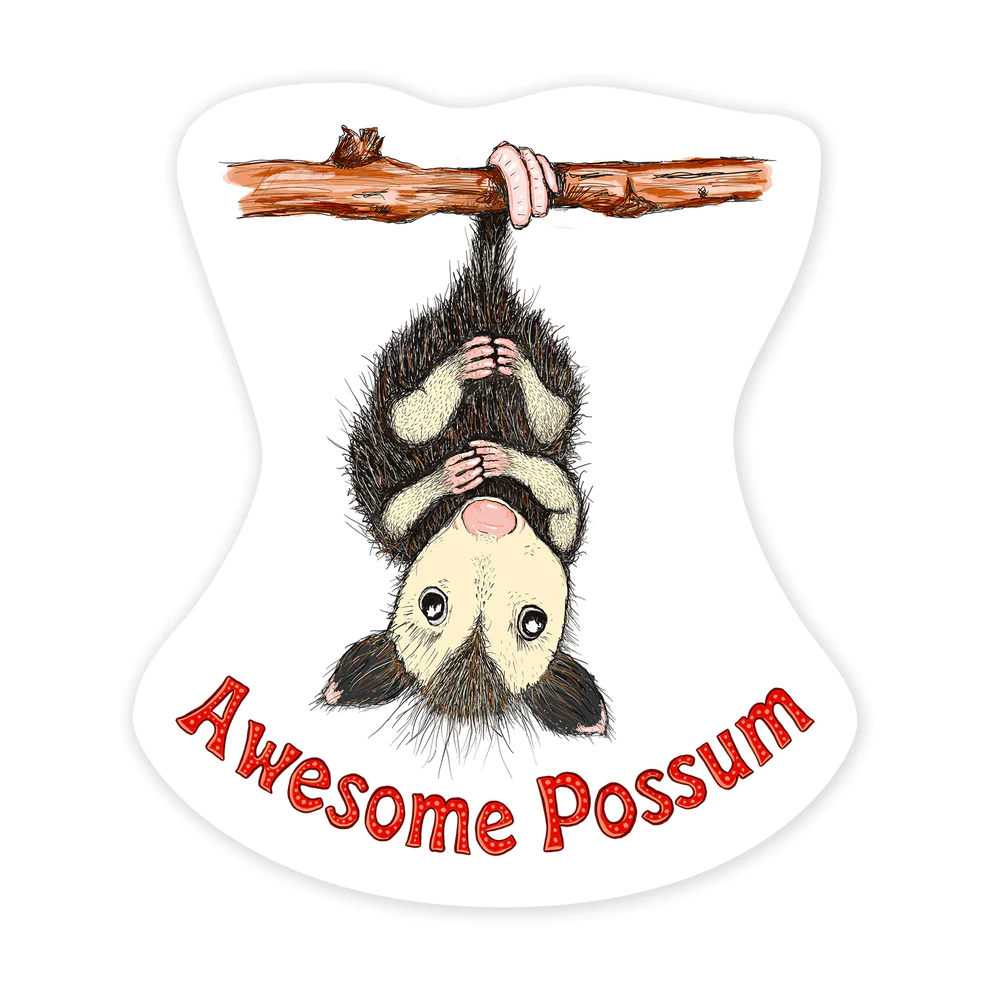Awesome Possum Sticker – www.shoptherocket.com