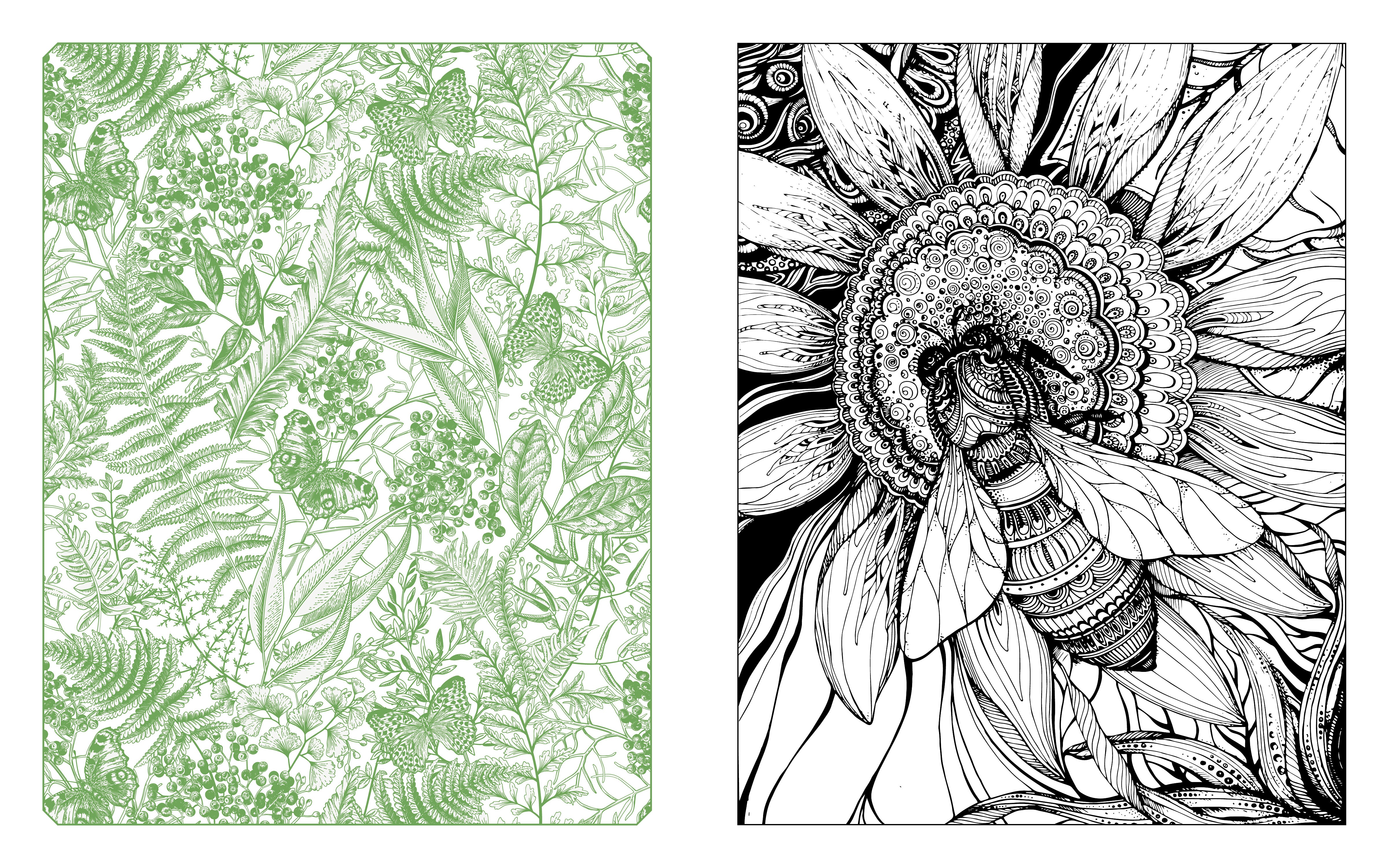 bees and butterflies coloring pages