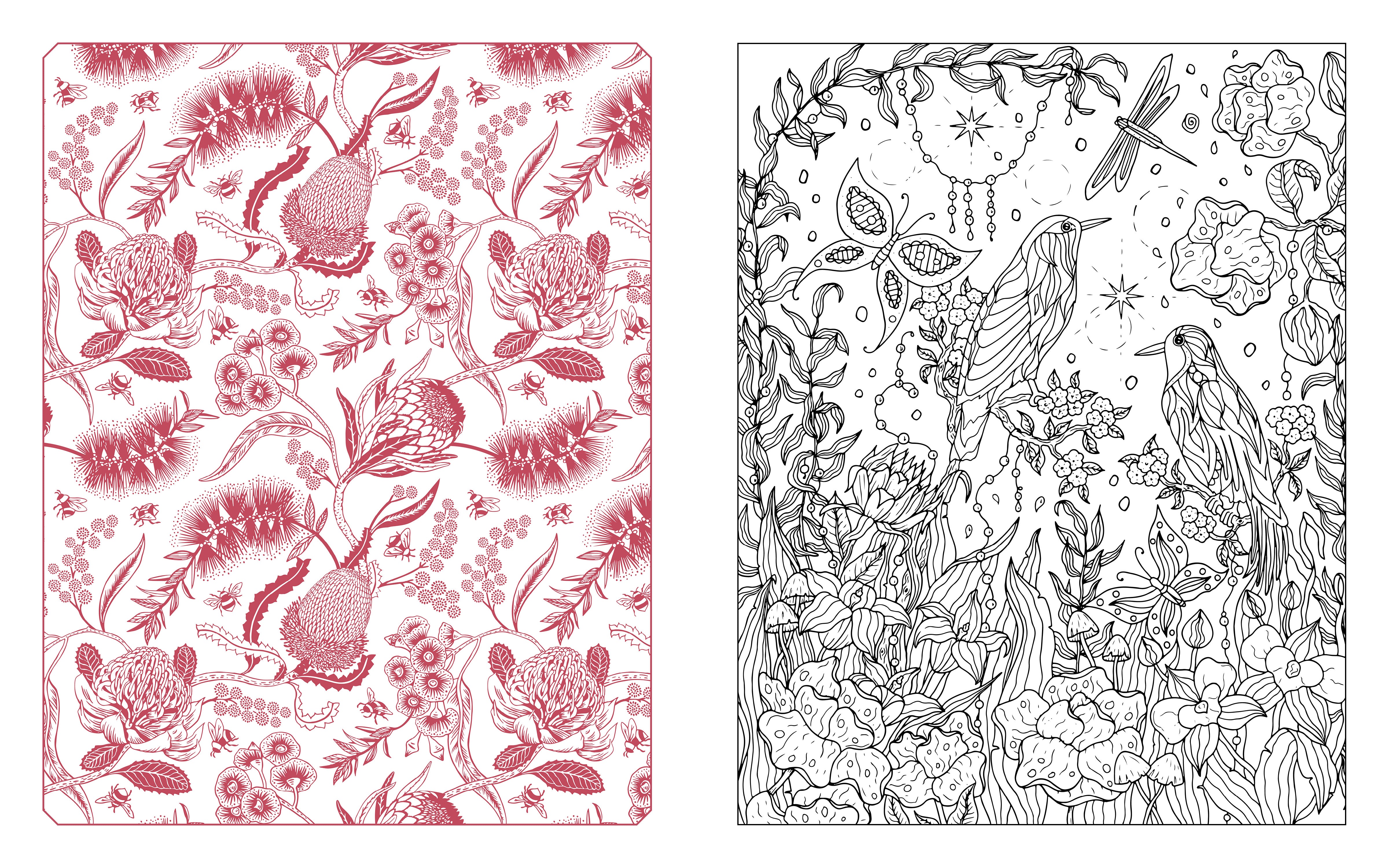 bees and butterflies coloring pages