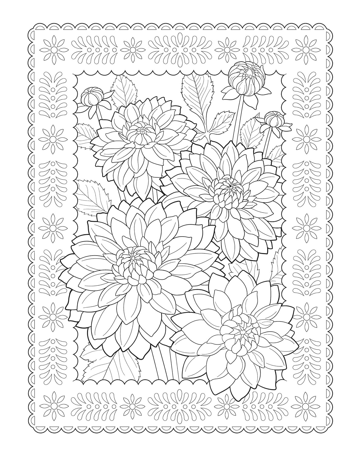 world of flowers coloring book pages