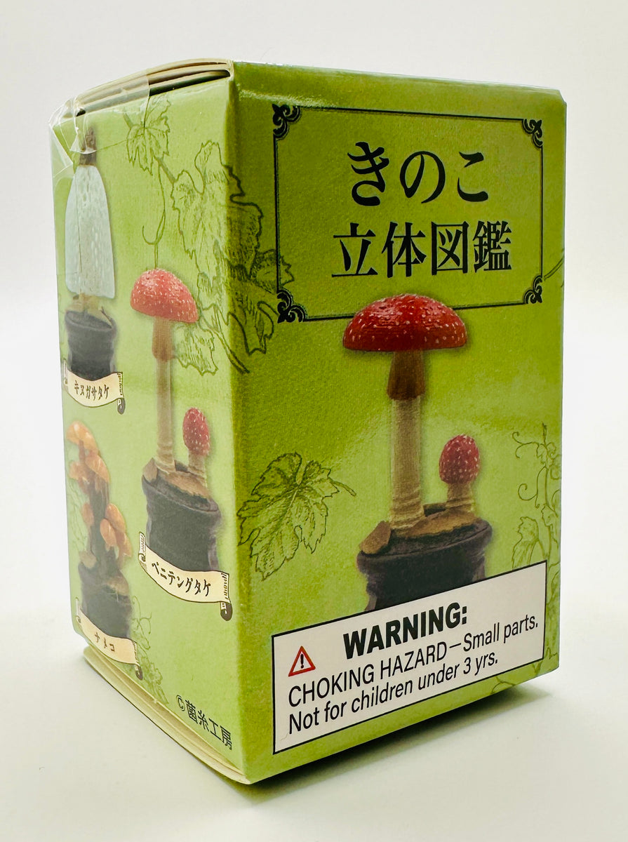 Mushroom Garden Blind Box Vol. 2 (Green Box) – www.shoptherocket.com