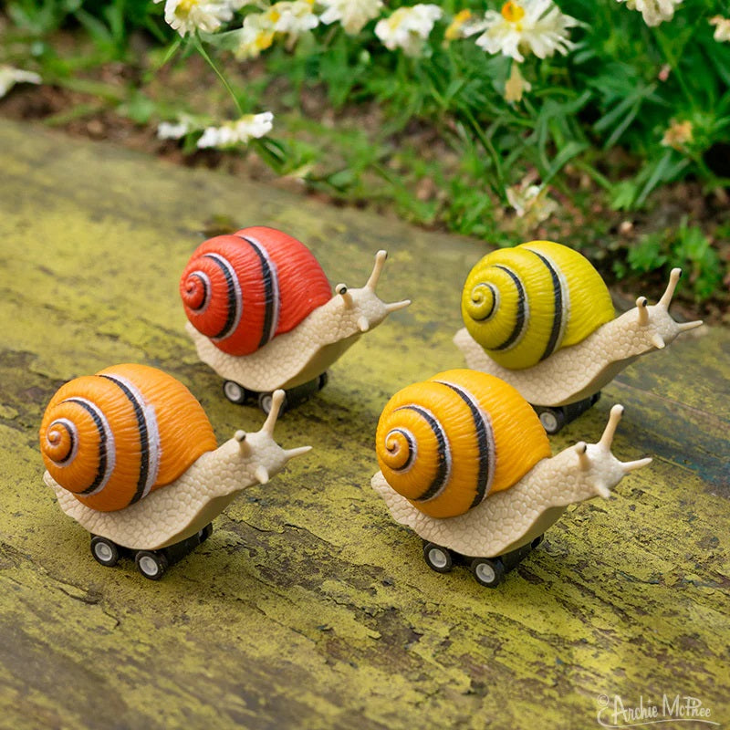 Racing Snail – www.shoptherocket.com